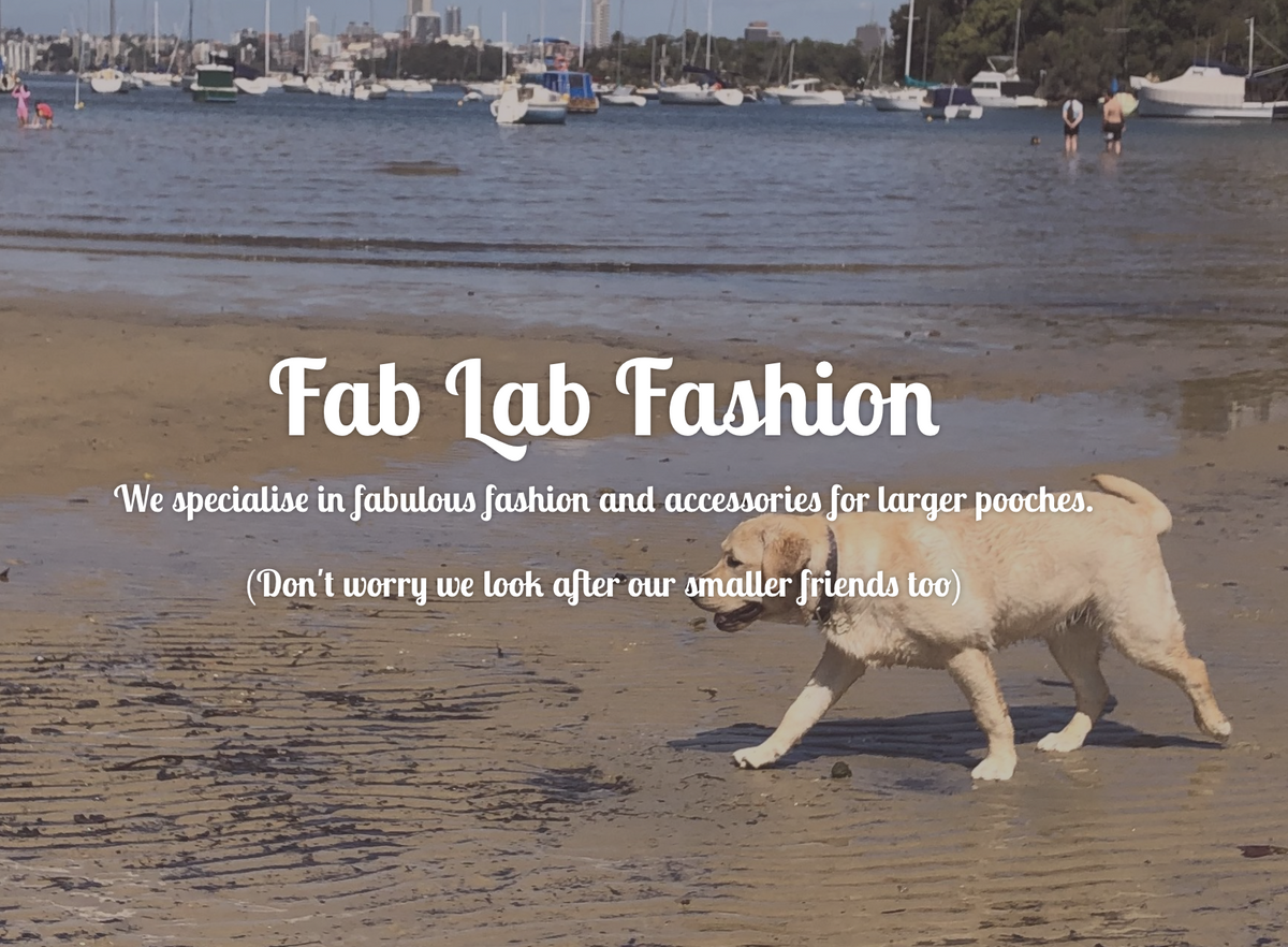 FAB LAB FASHION – Fab Lab Fashion